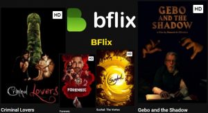 Bflix - Watch Full Movies and Series: Is It Safe and Legal?